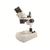 Windaus Microscope stéréo, HPS 110, grossissement 10x et 30x