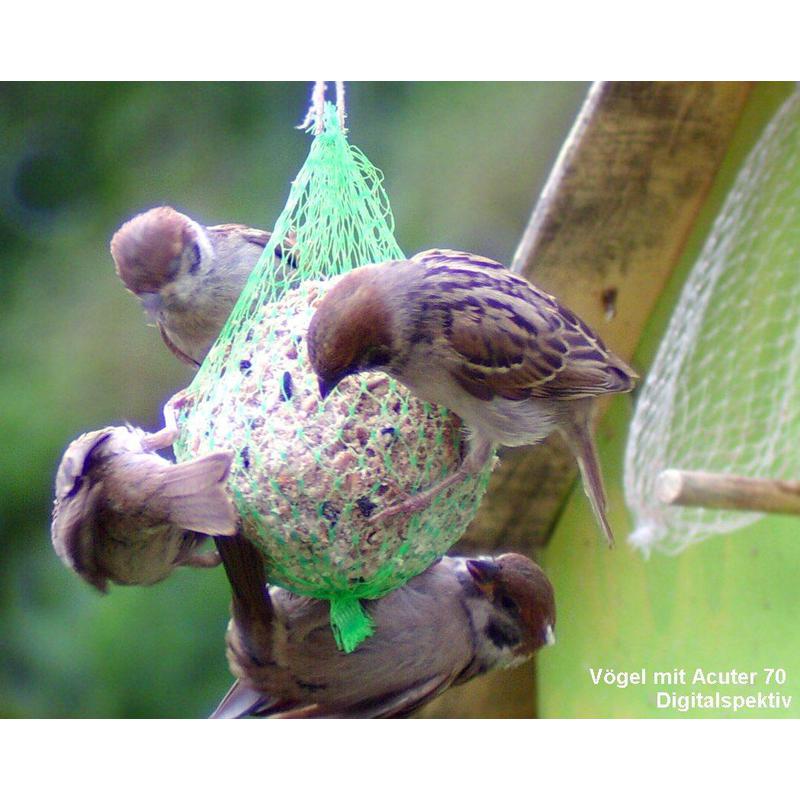 Acuter Digital-Spektiv Digital 70